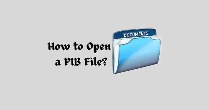 How to Open a PIB File [Complete Steps]