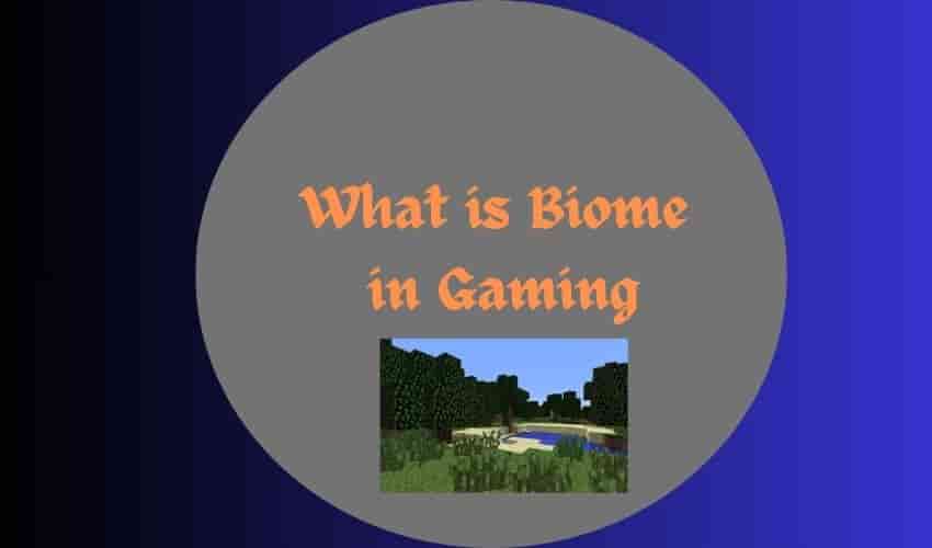 What is Biome in Gaming, and which Online game is it related to?