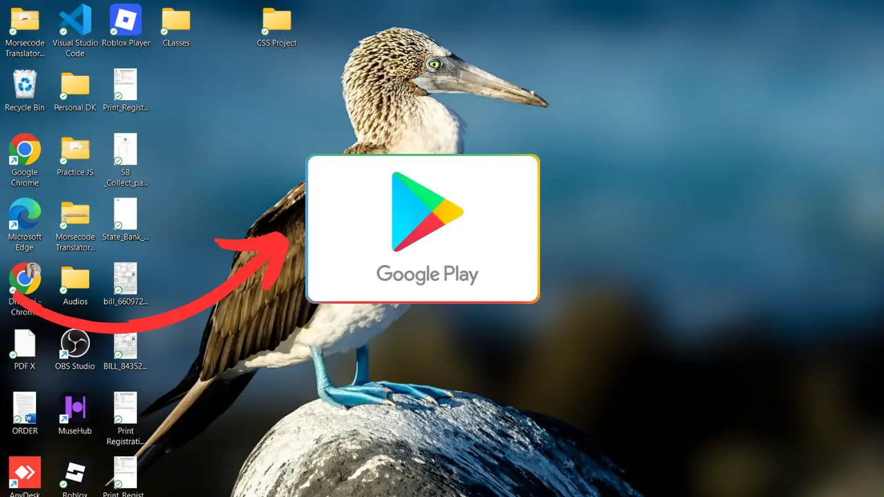 How to Downlaod and Use Play Store on Windows 11/10 PC [Complete Guide]