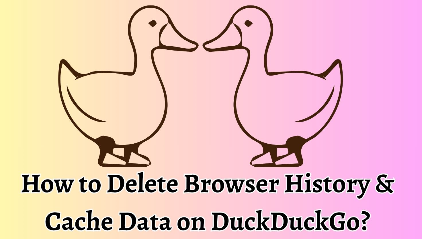 How to Delete Browser History & Cache Data on DuckDuckGo?
